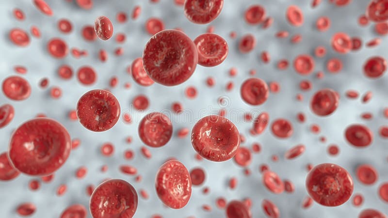 Red Blood Cells Float in a Light Blue Fluid Stock Illustration ...