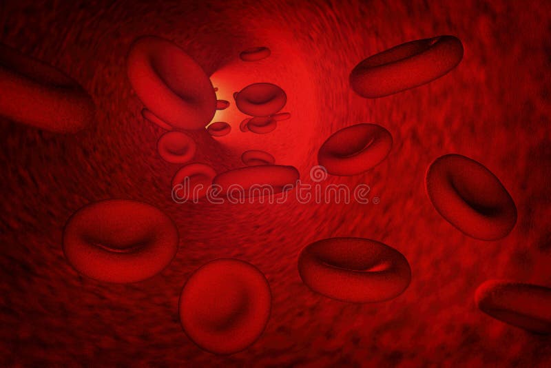 Red Blood Cells Floating Inside the Vein. 3D Illustration Stock ...