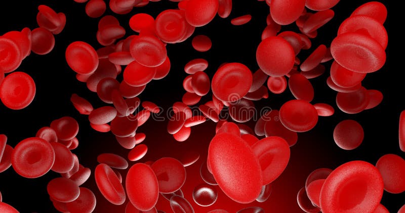 Red Blood Cells Flow Bottom Red Lighting on Black Blackground 3d Render ...