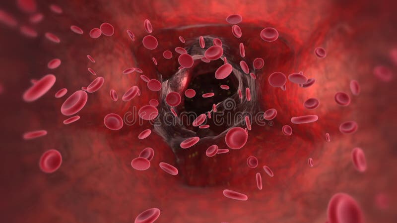 Red Blood Cells Flow in Vein Stock Footage - Video of biological, medic ...