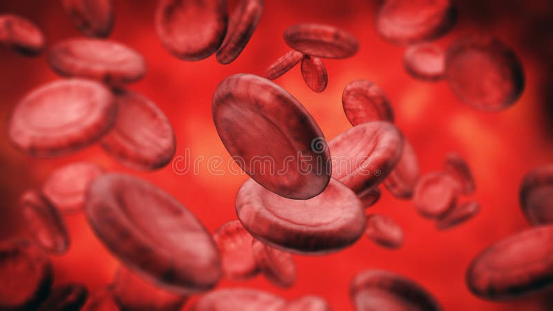 Red Blood Cells Flowing Inside the Vein. 3D Illustration Stock ...