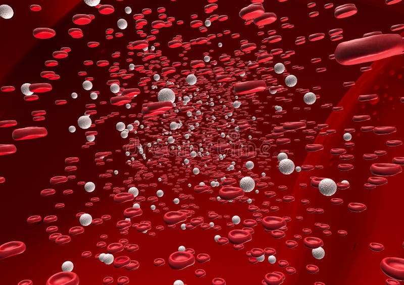 Red Blood Cells Flowing Throw an Artery Stock Image - Image of cell ...