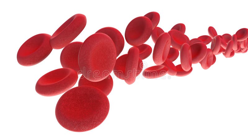 Red Blood Cells Flowing through a Vein and Artery Stock Illustration ...