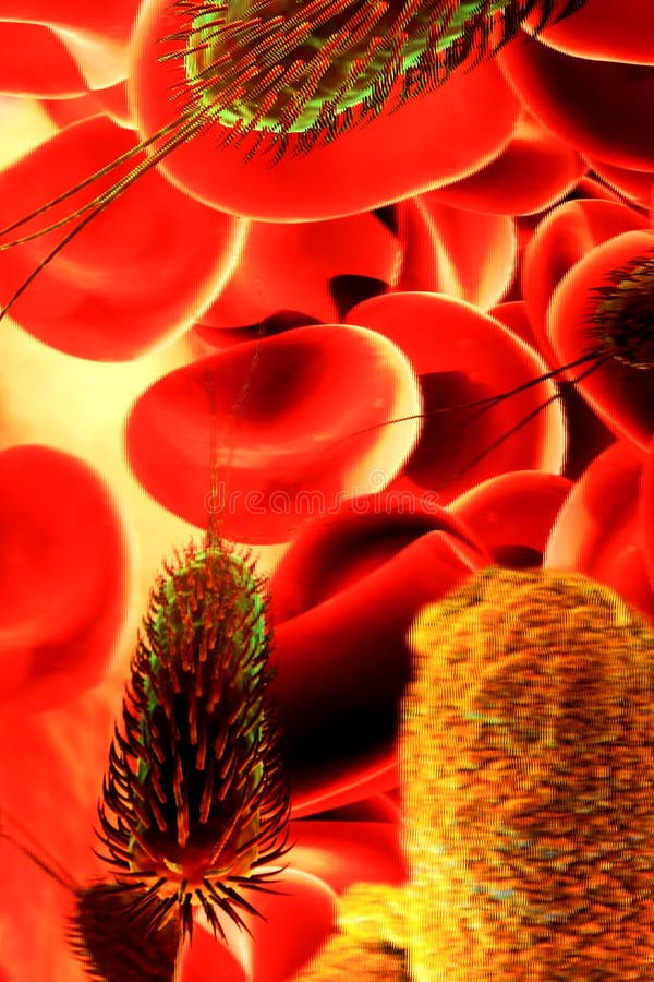 1+ Red blood cells germs Free Stock Photos - StockFreeImages