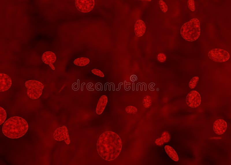 Red Blood Cells in Human Blood Stock Illustration - Illustration of ...