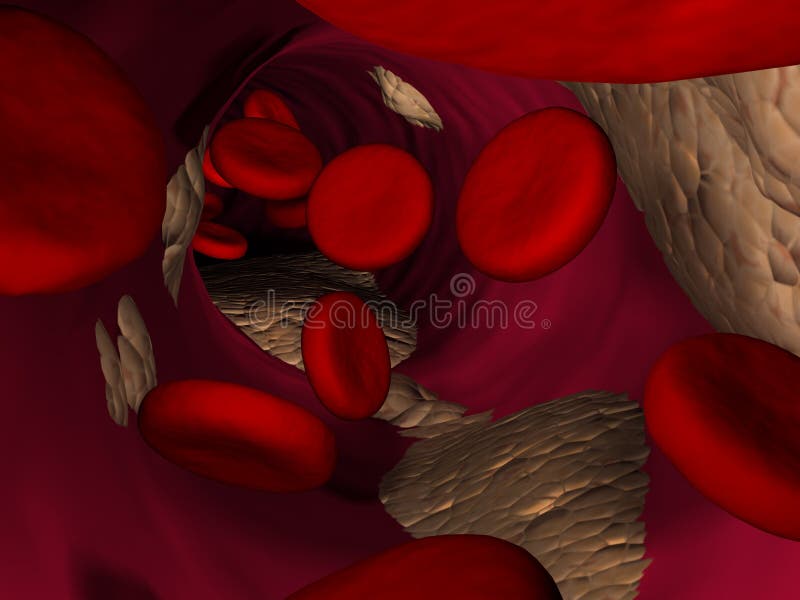 Red (blood) Cells Inside Vein Stock Illustration - Illustration of ...