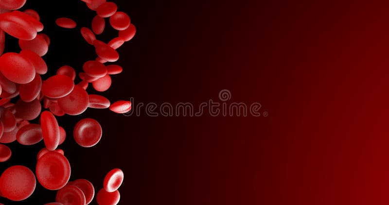 Red Blood Cells Red Light Bottom Right on Black Blank Space on R Stock ...