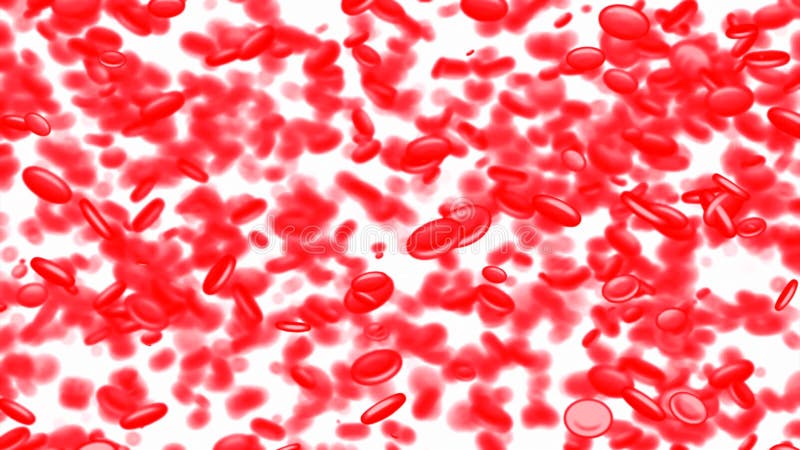 Red Blood Cells Moving in Blood Stream in Artery. Design. 3D Animation ...
