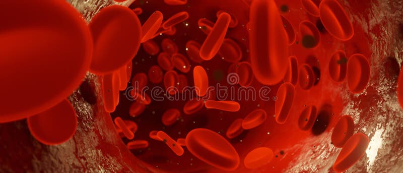 Red Blood Cells Moving in Blood Vessel Panorama Style. 3D Rendering ...