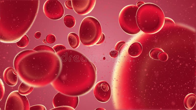 4K Flowing Red Blood Cells Motion Background Stock Video - Video of ...