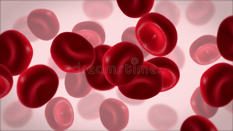 Red blood cells stock footage. Video of magnification - 318901508