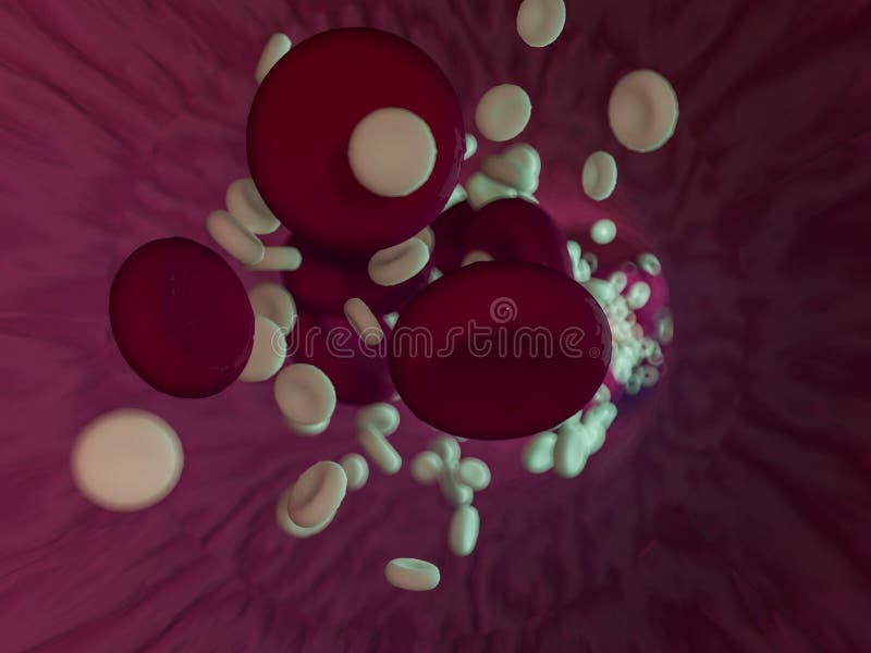 Hematocyte Stock Illustrations – 55 Hematocyte Stock Illustrations ...