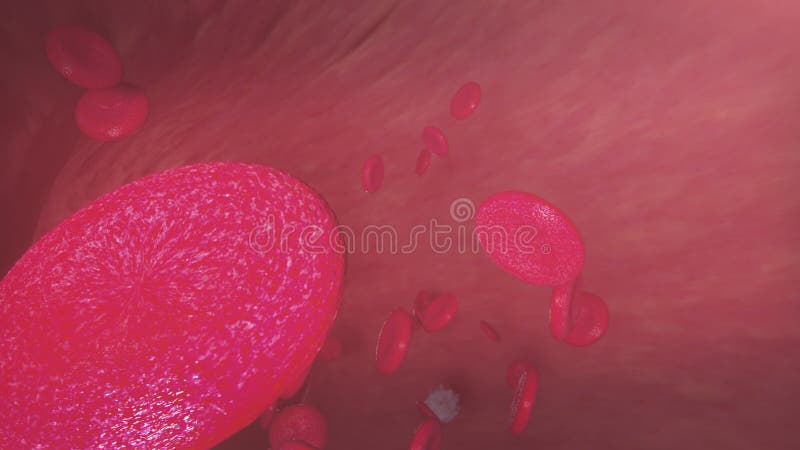 Red Blood Cells Flowing through Blood Vessels. Stock Footage - Video of ...