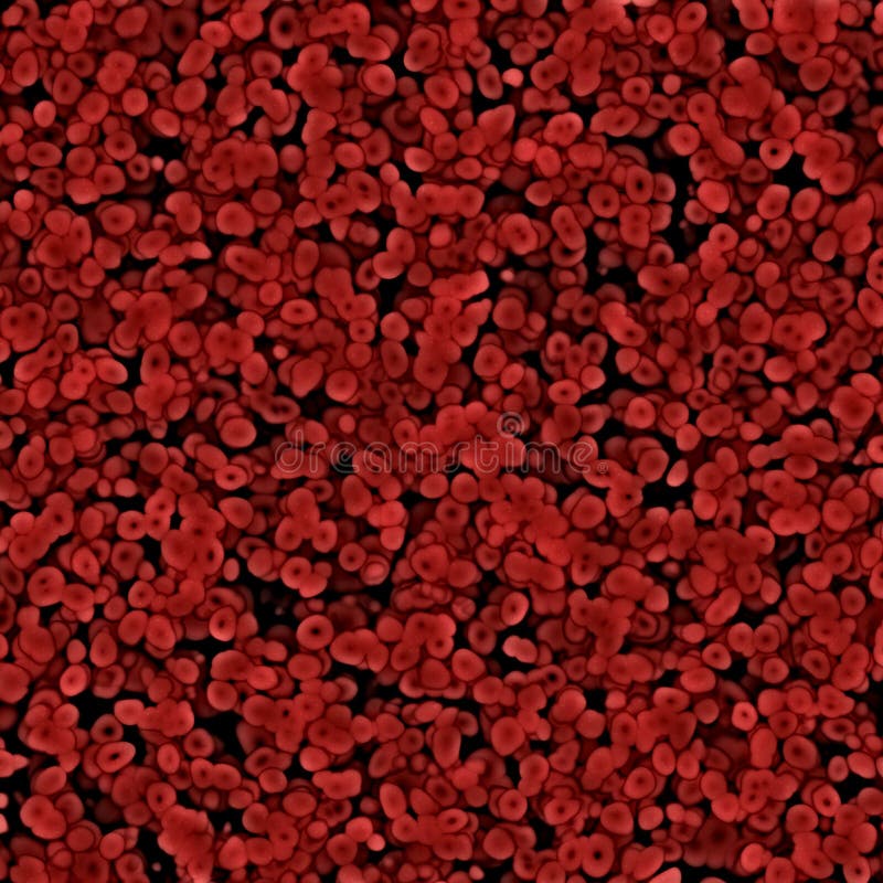 Red Blood cells stock illustration. Illustration of cells - 63639573