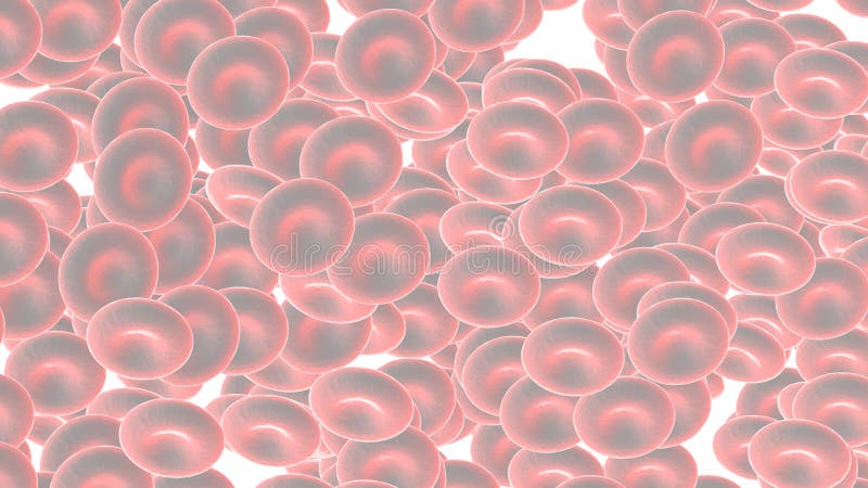 Red Blood Cells Red Blood Cells Under the Microscope Stock Illustration ...