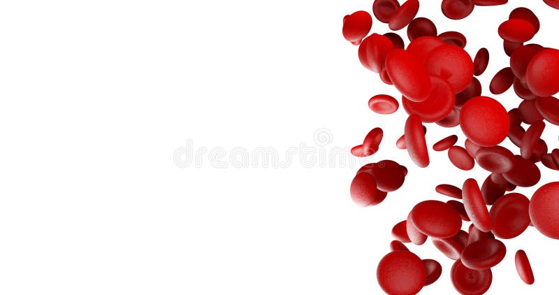 Red Blood Cells on White Blank Space on Left Side Stock Illustration ...