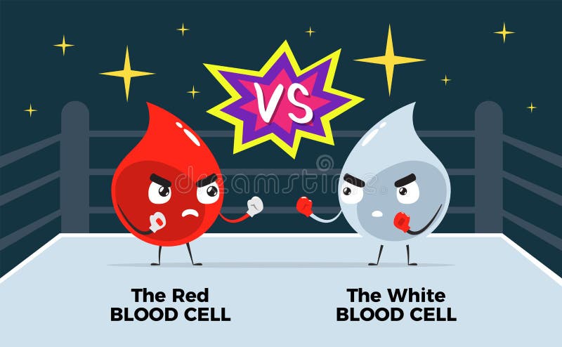 Red Blood is Having Battle Versus White Blood Stock Illustration ...