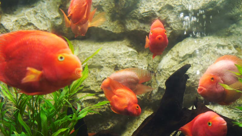 Water Stock Footage & Videos - 2,414,392 Stock Videos