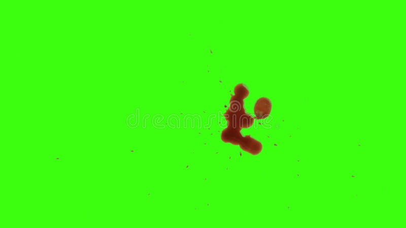 Red Blood Splatter Splash Isolated Green Screen Stock Video - Video of ...