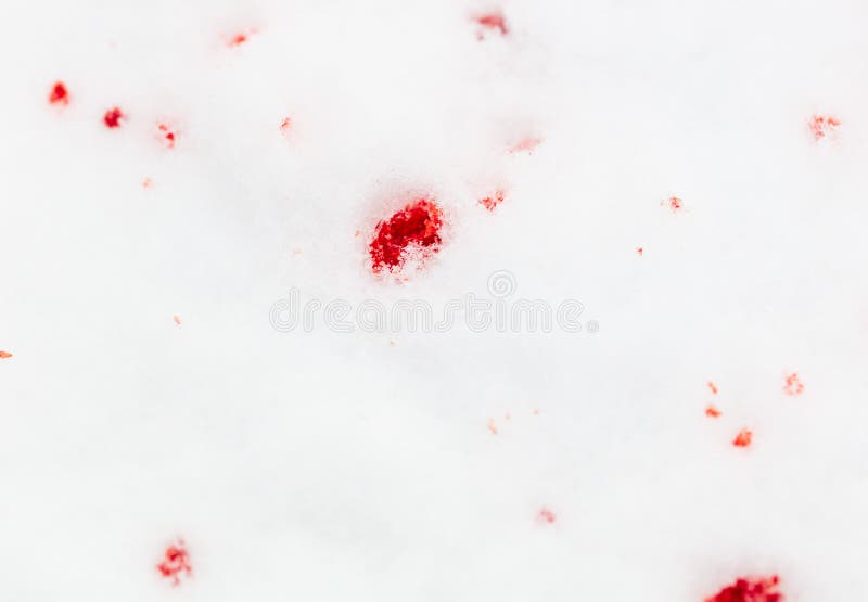 2,033 Blood Snow Photos - Free & Royalty-Free Stock Photos from Dreamstime