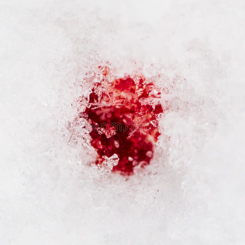 Red Blood on White Snow As a Background Stock Photo - Image of texture ...