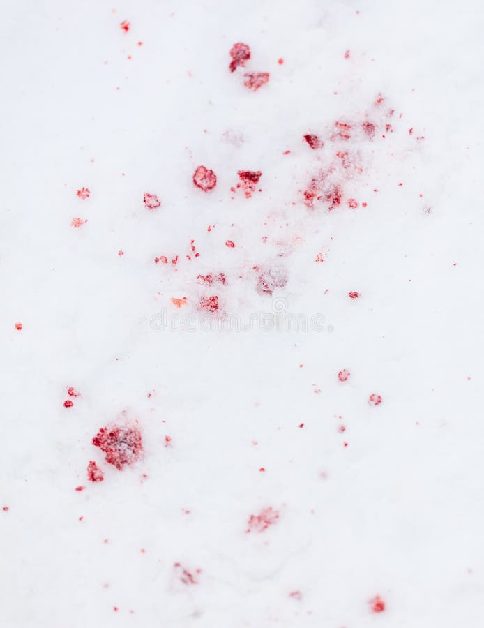 Red Blood on White Snow As a Background Stock Photo - Image of murder ...