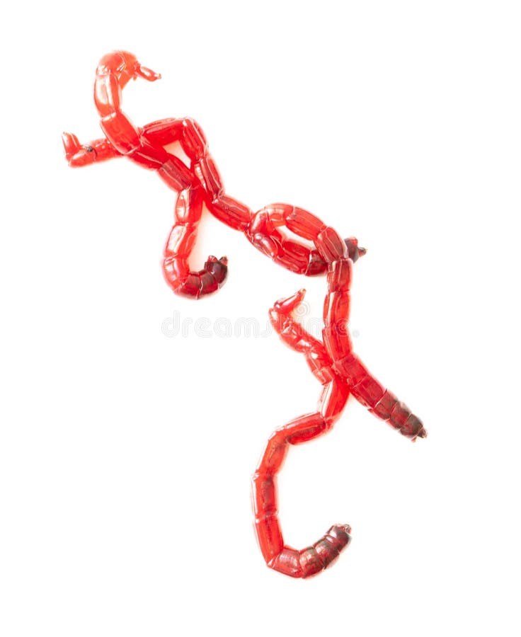 Red Bloodworms Isolated White Background Stock Photos - Free & Royalty ...