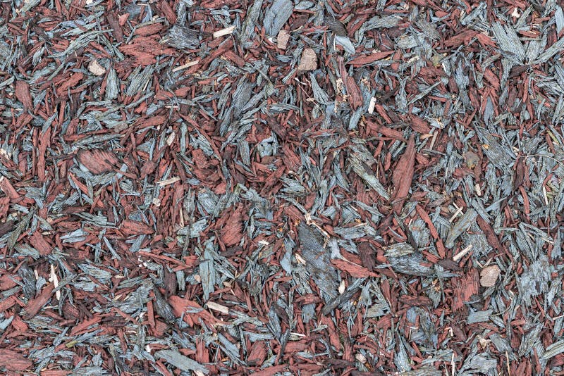 Red and blue bark stock image. Image of texture, blue - 97953209