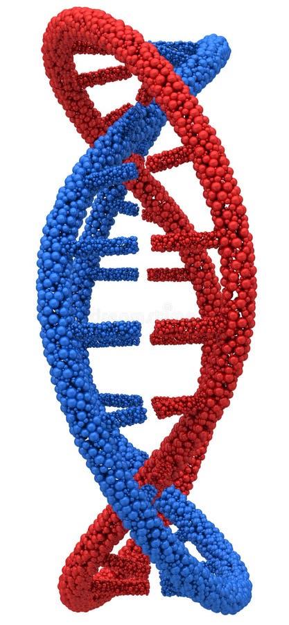 Red and Blue DNA Molecule in a Circle Close-up Stock Photo - Image of ...
