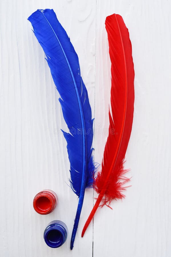 Red and Blue Feather with Ink Stock Image - Image of beautiful, feather ...