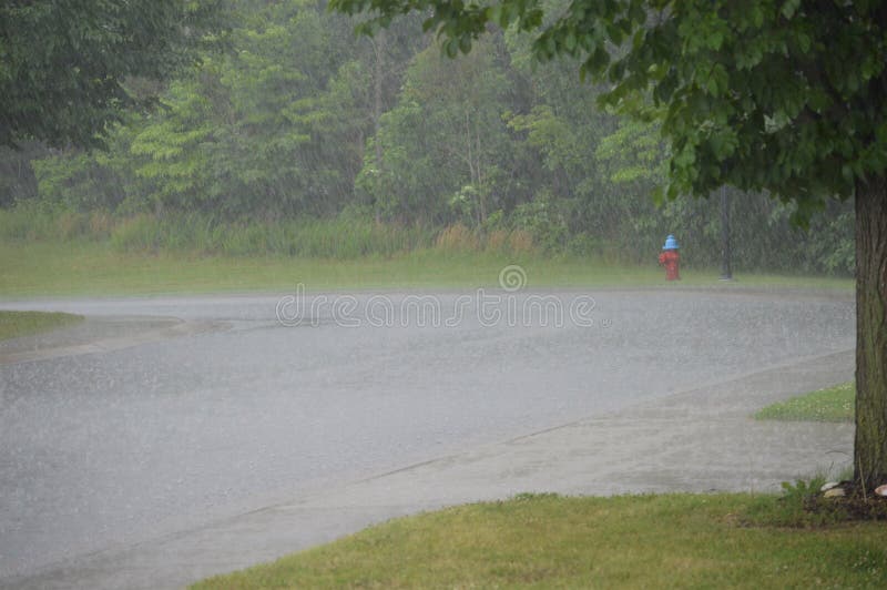 Red and Blue Fire Hydrant at the End of a Road in Rain Stock Image ...