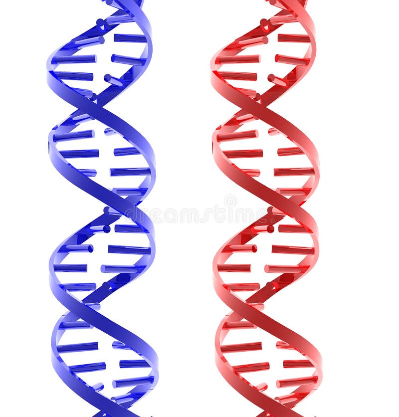 Glossy Isolated Dna Structures Stock Illustrations – 10 Glossy Isolated ...