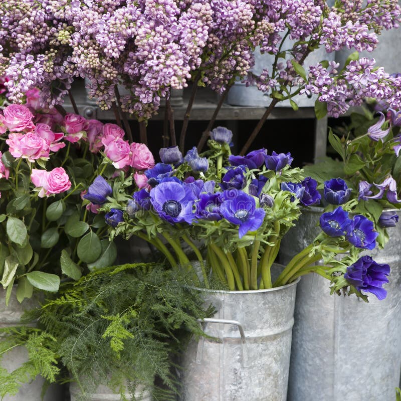 Red Blue Spring Flower Arrangement: Anemones, Ranoncullus and Stock ...