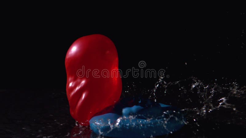 Red and Blue Water Balloons Falling on Black Background Stock Video ...