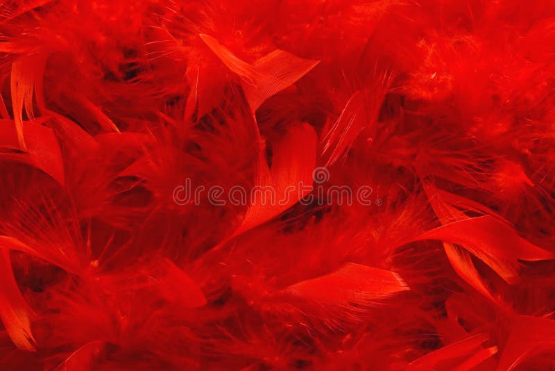 Red Boa Feather Scarf Texture Stock Image - Image of fluffy, couples ...