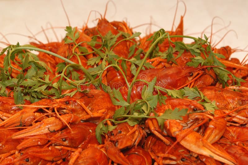 Red boiled crawfish stock image. Image of food, cooked - 57607847