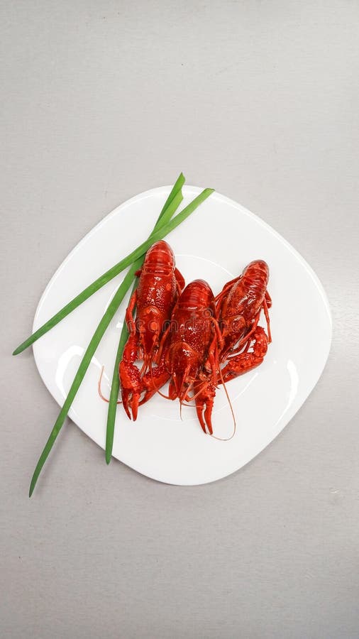 Red Boiled Crayfish and Green Onions on a White Plate. Stock Image ... Red Boiled Crayfish and Green Onions on a White Plate. Stock Image ...