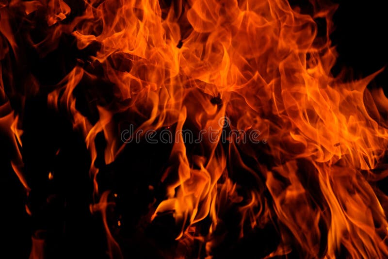 Red Bonfire in the Dark. Fire Twigs at Night Close-up Stock Photo ...