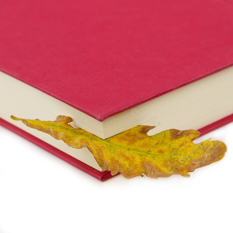 49,238 Book Leaf Stock Photos - Free & Royalty-Free Stock Photos from ...