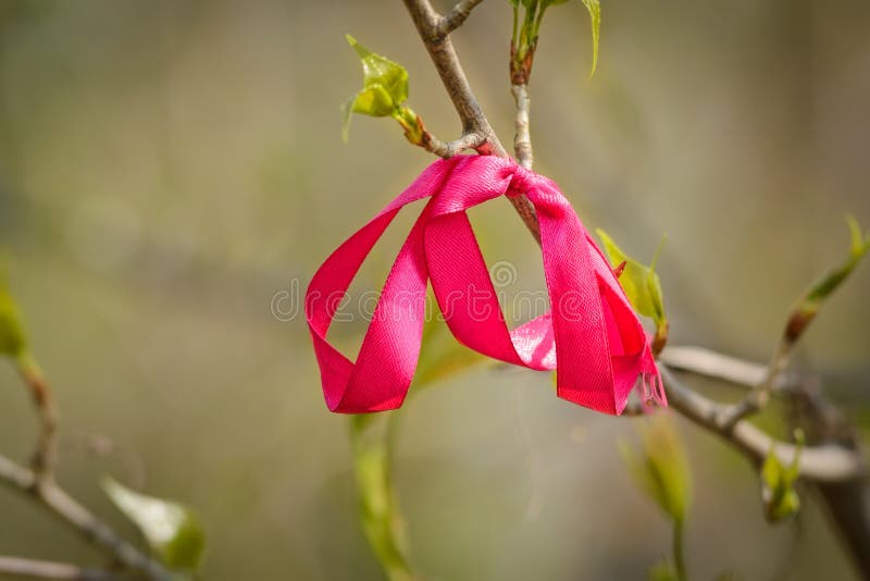 Red Bow in a Tree stock image. Image of tree, branch - 53601731