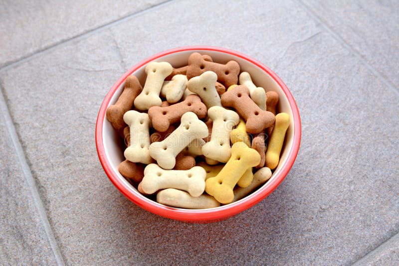 Red Bowl Full of Dog Biscuits on Grey Tile Stock Photo - Image of bowl ...