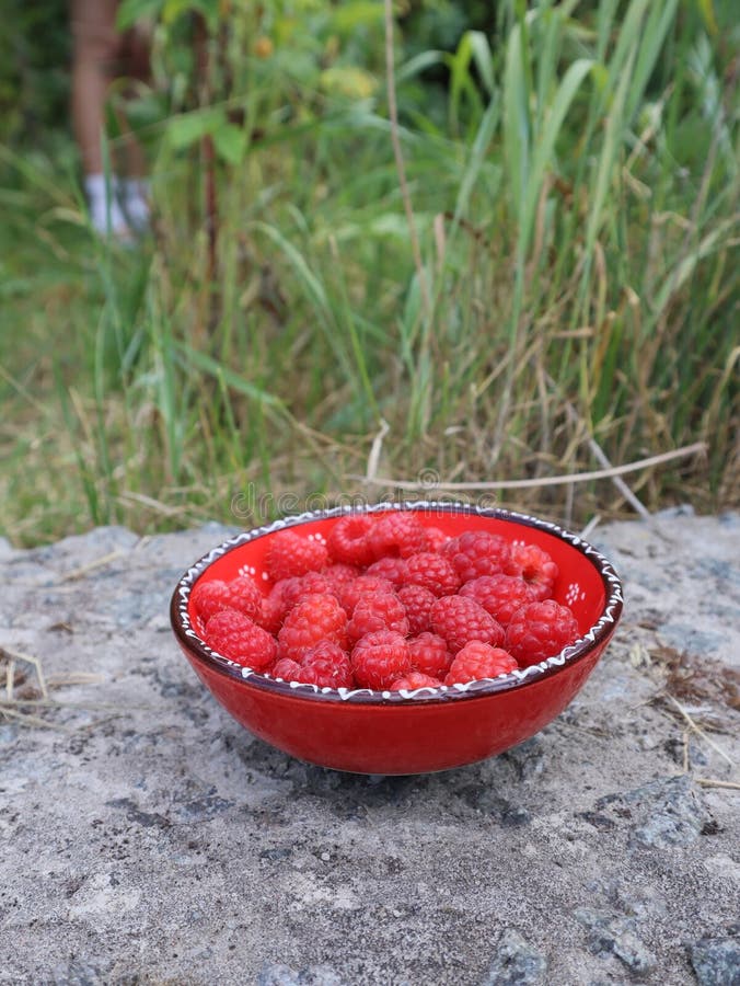 The Red Bowl of Raspberries Outdoor. Stock Image - Image of summer ...