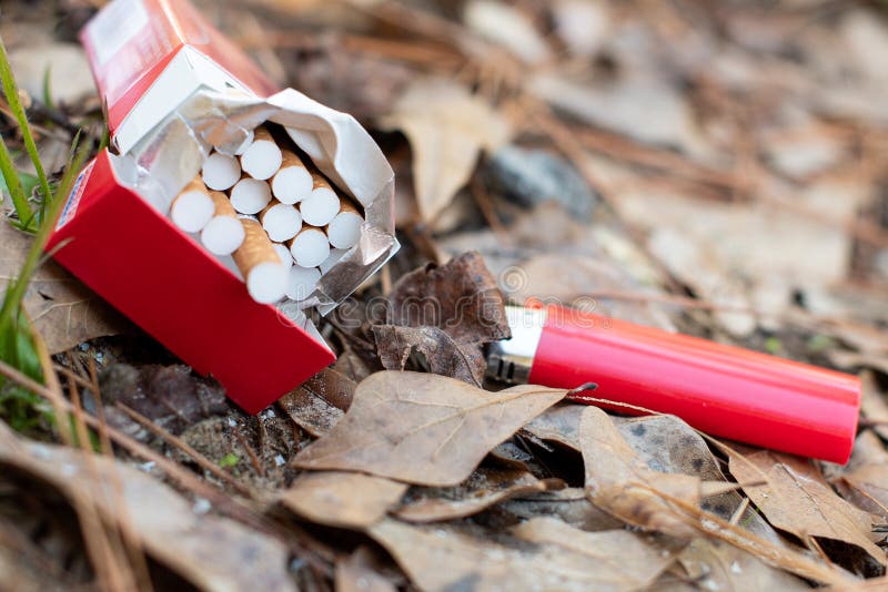 Red Box of Cigarettes and Lighter on the Ground Stock Image - Image of ...
