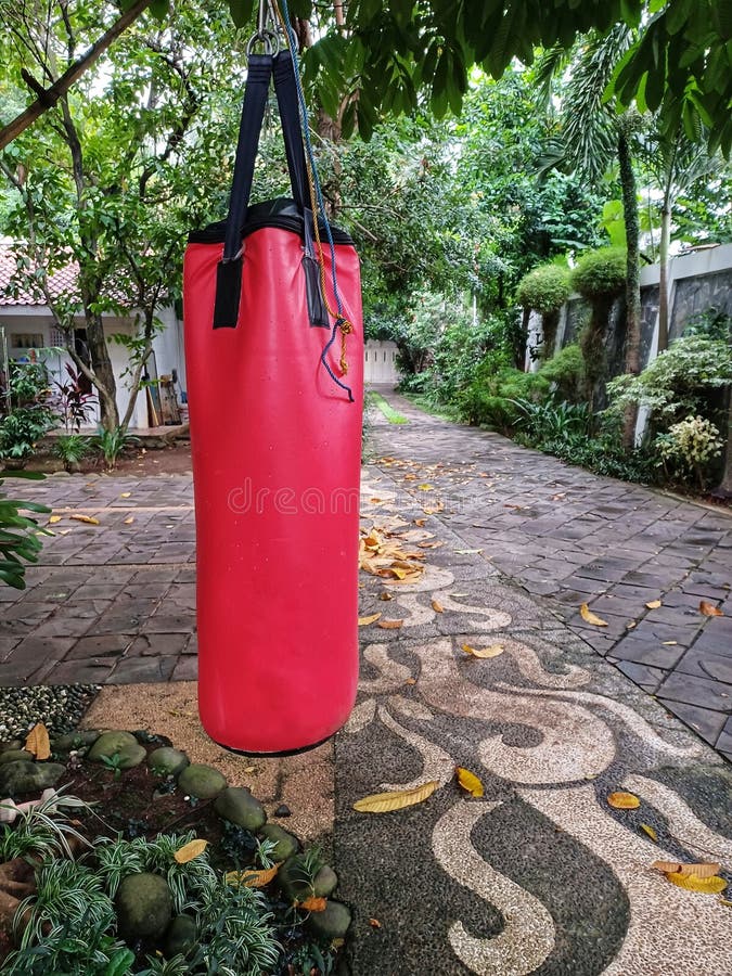 Red Boxing Bag Hanging from the Tree Stock Photo - Image of leaf, green ...