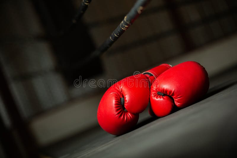 Red Boxing Sports, Boxing Glove on Boxing Ring in Gym Stock Photo ...