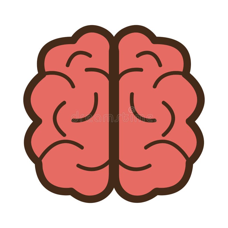 Red Brain Front View, Graphic Stock Illustration - Illustration of ...
