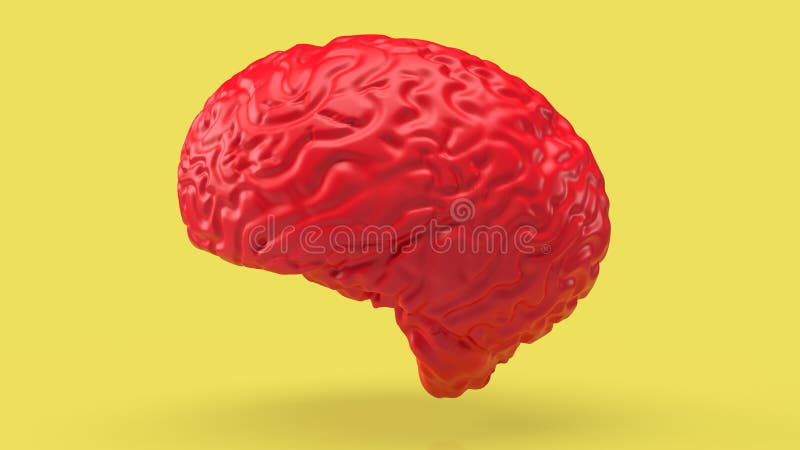 Red Brain on Yellow Back Ground 3d Rendering Stock Illustration ...