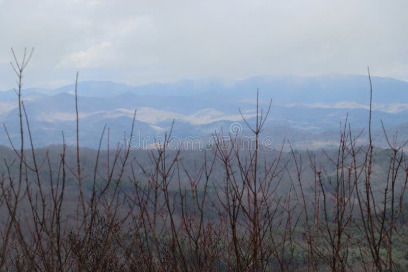 Red Branches in Front of Mountain Range Stock Photo - Image of hill ...