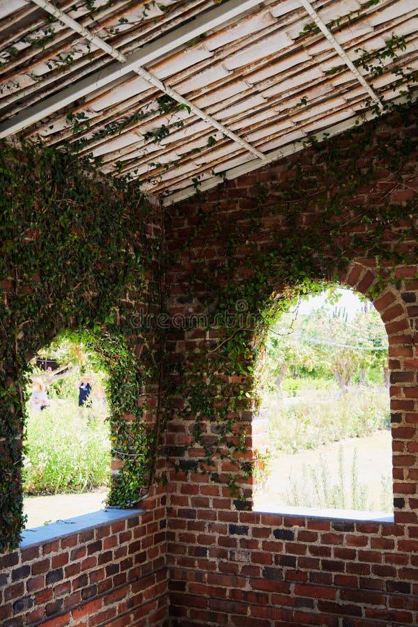 Red Brick Building Interior with Plants on the Wall Stock Photo - Image ...