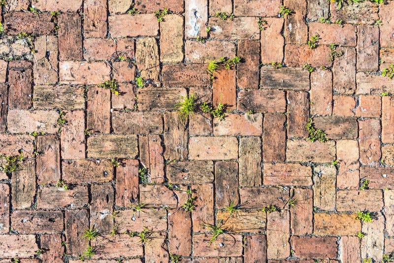 Red brick floor background stock image. Image of surface - 45862599